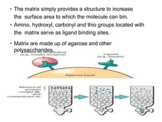 Affinity Chromatography.pptx