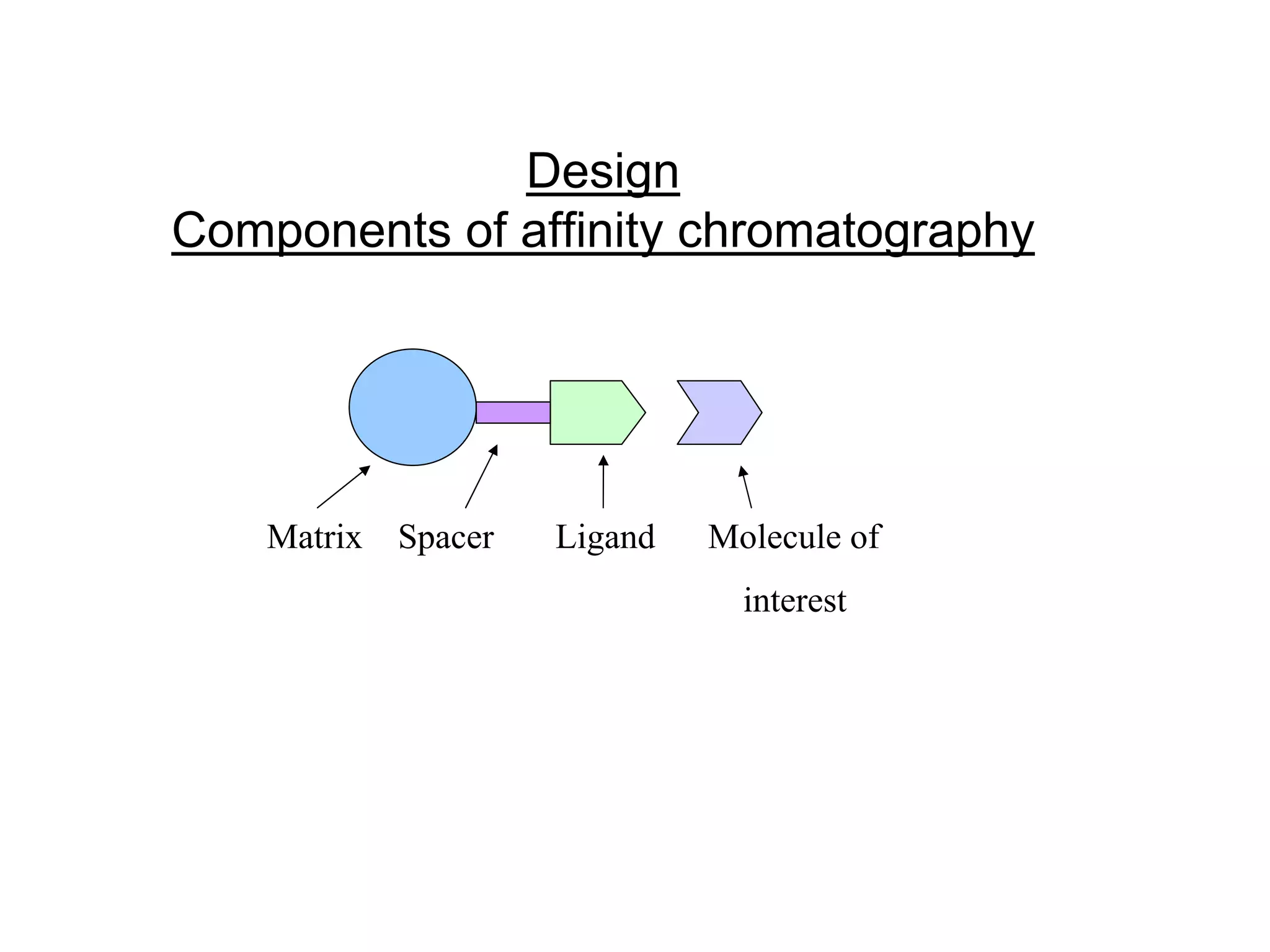 affinity chromatography.pdf