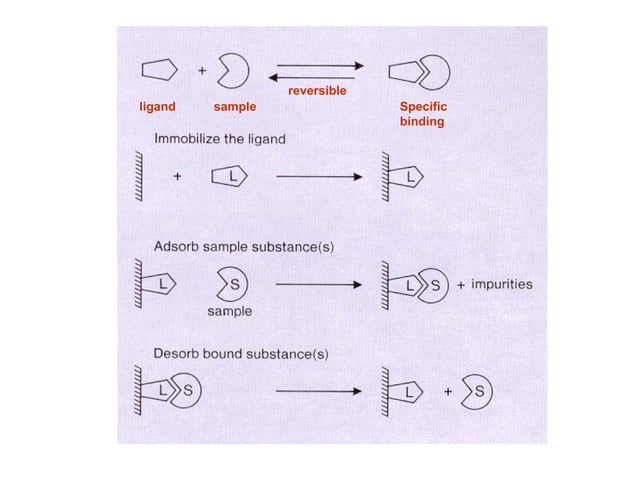 affinity chromatography.pdf