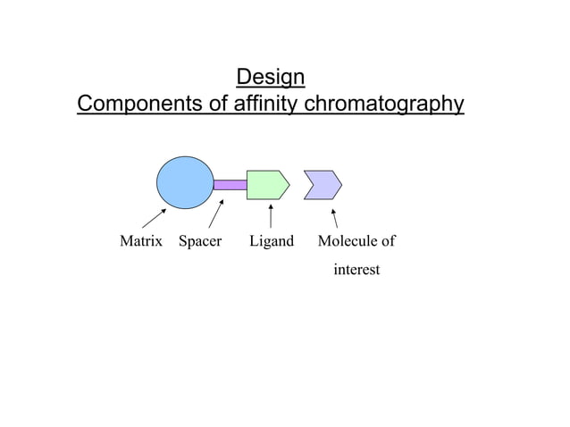 affinity chromatography.pdf