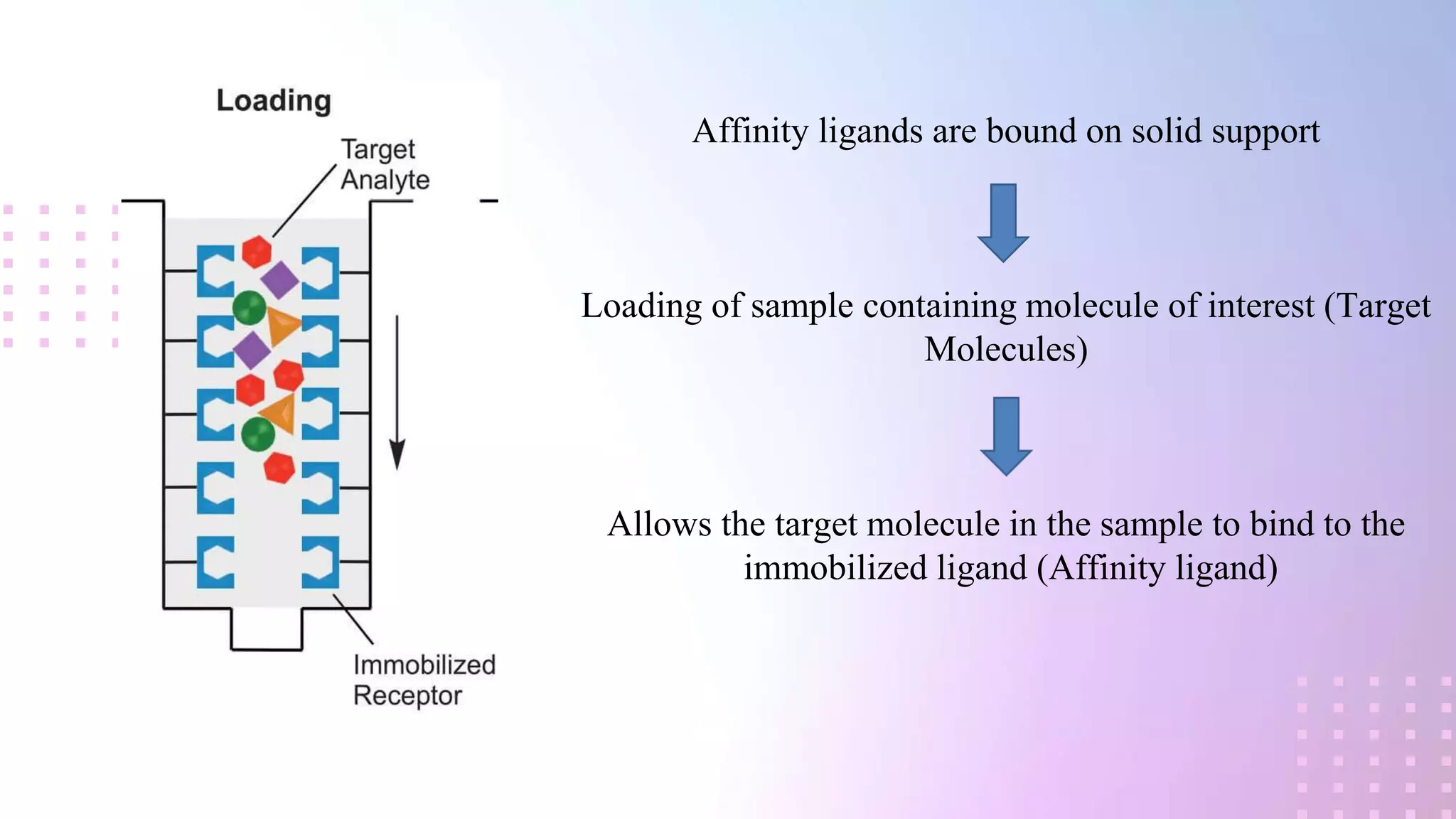 Affinity Chromatography.pdf