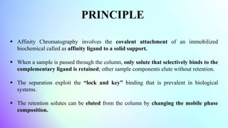 Affinity Chromatography.pdf