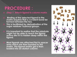 Affinity chromatography.pdf
