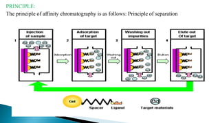 Affinity chromatography.pptx