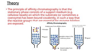 AFFINITY CHROMATOGRAPHY ,Introduction, Theory, Instrumentation ...