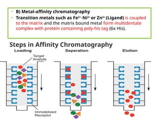 Affinity chromatography Introduction Theory Instrumentation ...