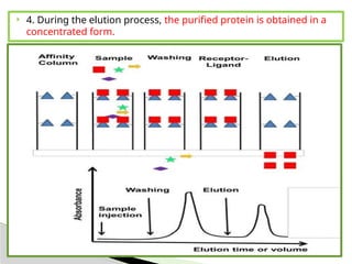Affinity chromatography Introduction Theory Instrumentation ...