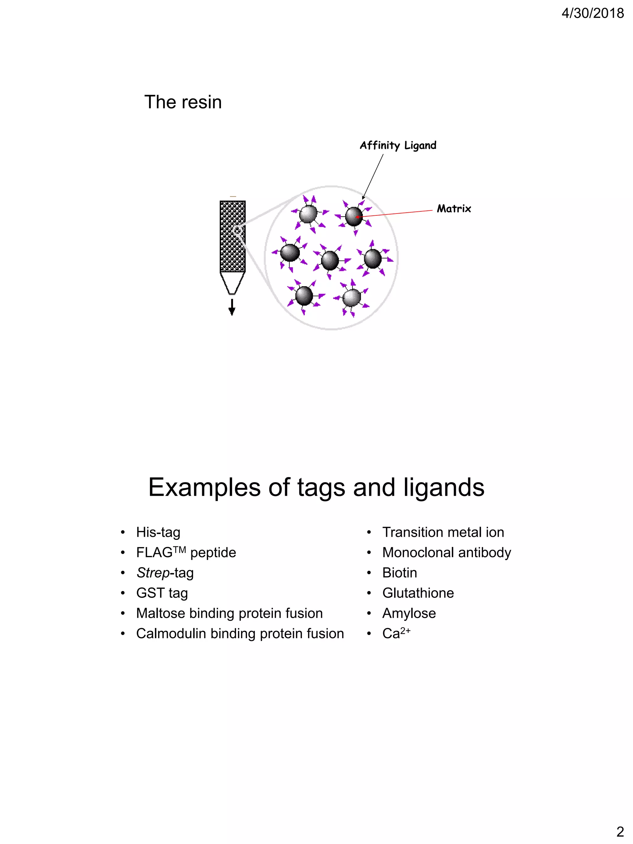 Affinity chromatography and gel filteration | PDF