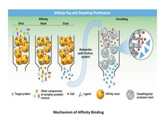 Affinity chromatography by Shiv kalia ( m.pharma analytical chemistry ...