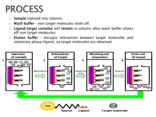 AFFINITY CHROMATOGRAPHY J.pptx | Chemistry | Science