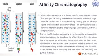 Affinity Chromatography Principles, Applications, and Techniques for ...