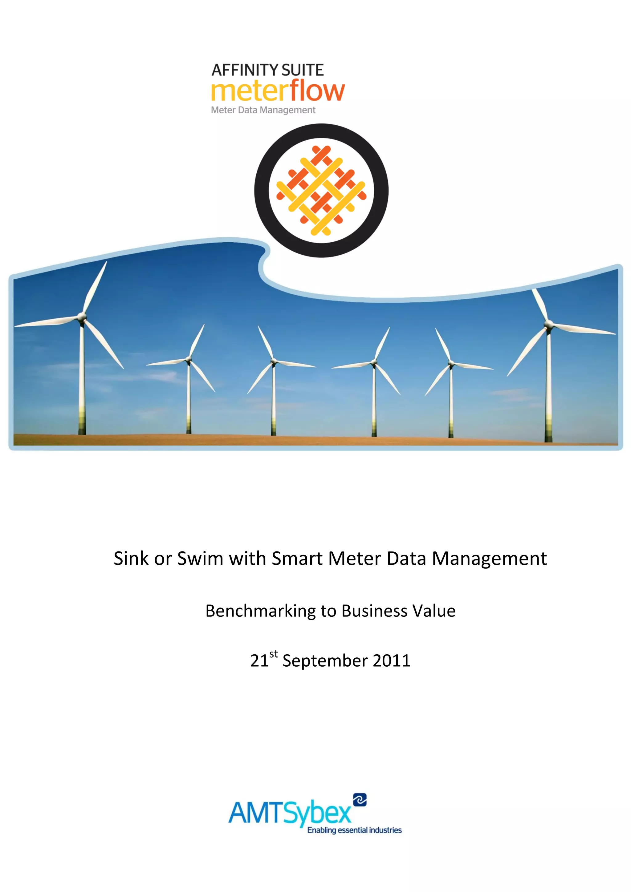 Affinitymeterflow Sinkorswimwithsmartmeterdatamanagement | PDF