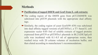 Protein and peptide affinity tags | PPTX