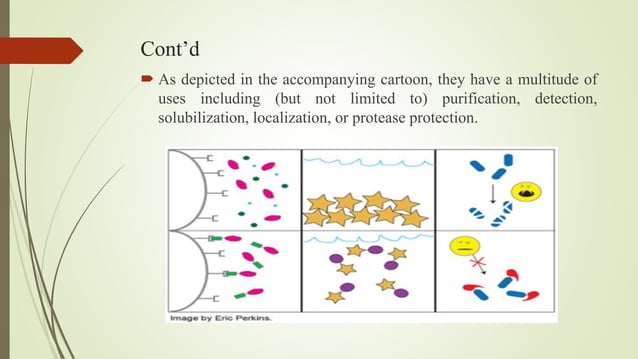 Protein and peptide affinity tags | PPTX | Chemistry | Science