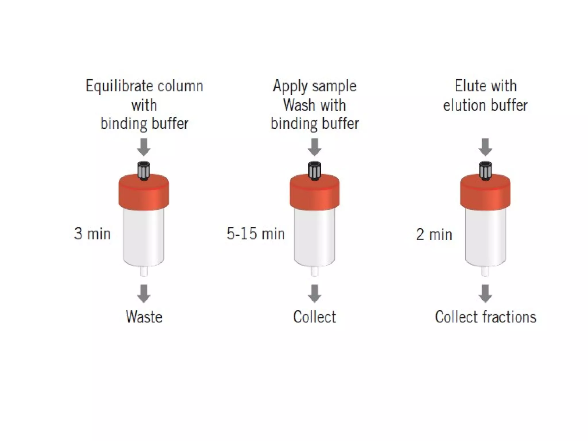 Affinity chromatography: Principles and applications | PPT