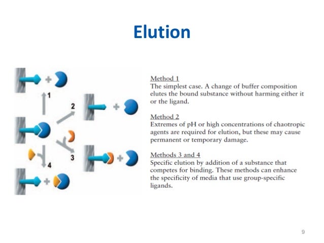 Affinity chromatography: Principles and applications