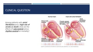 Affirm Trial | PPTX