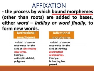 Affixation, compounding, multi - word verbs | PPTX