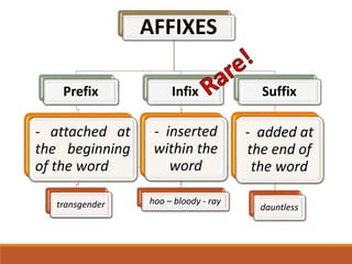 Affixation, compounding, multi - word verbs | PPTX