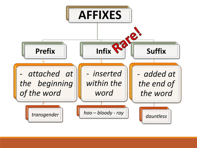 Affixation, compounding, multi - word verbs