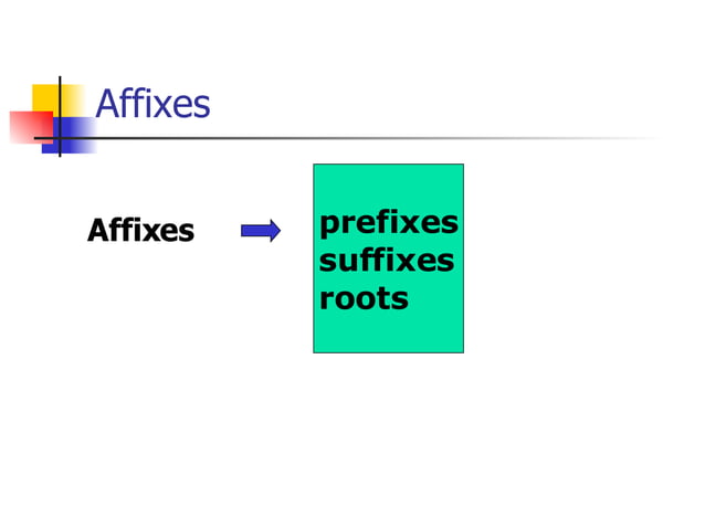 Affixes | PPT | Programming Languages | Computing