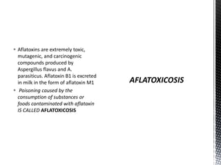 Aflatoxicosis in farm animals | PPTX
