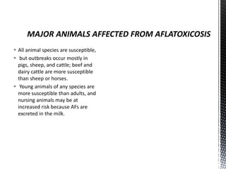 Aflatoxicosis in farm animals | PPTX