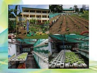 Afflip accomplishment sir glen 2019 | PPT