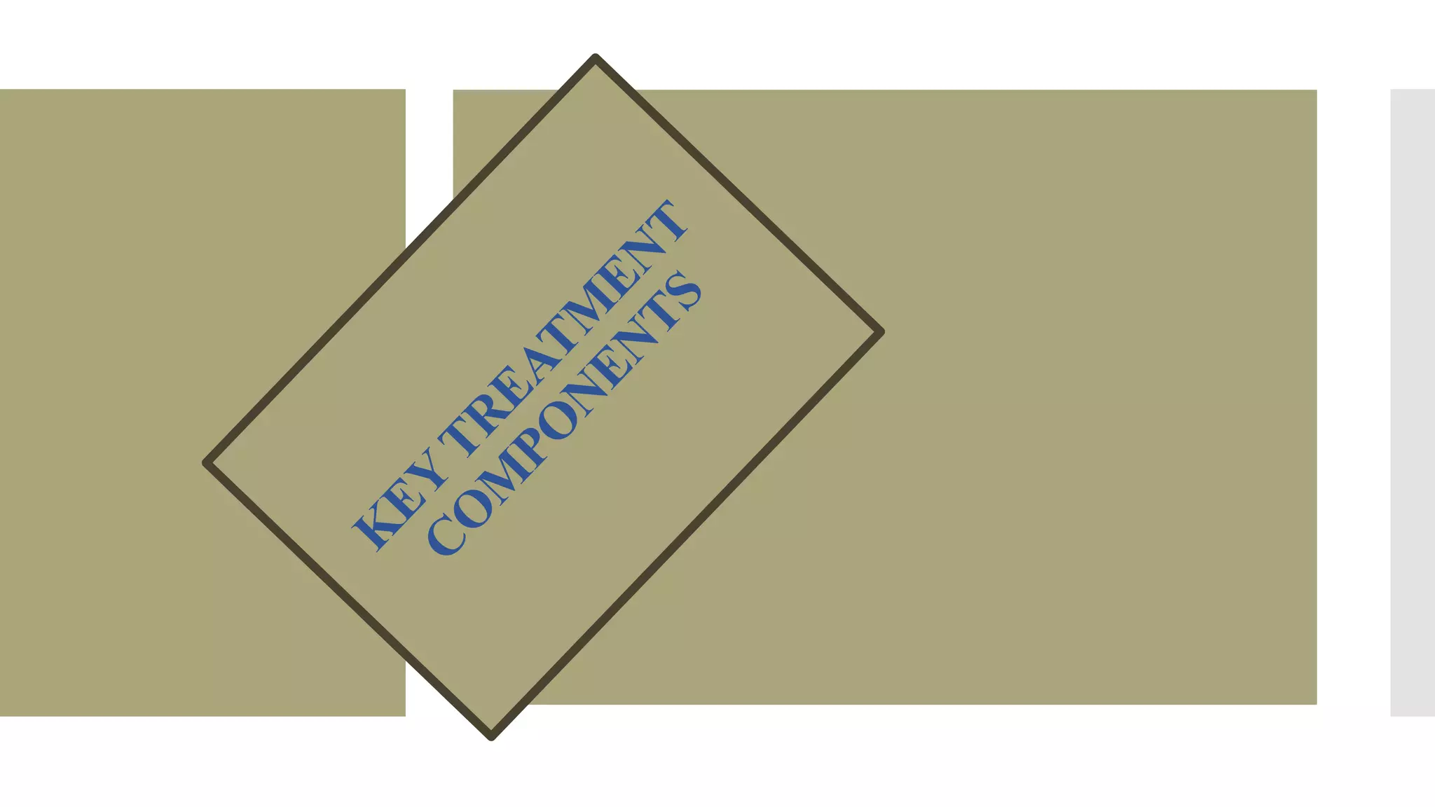 AFFOLTER APPROACH.pptx