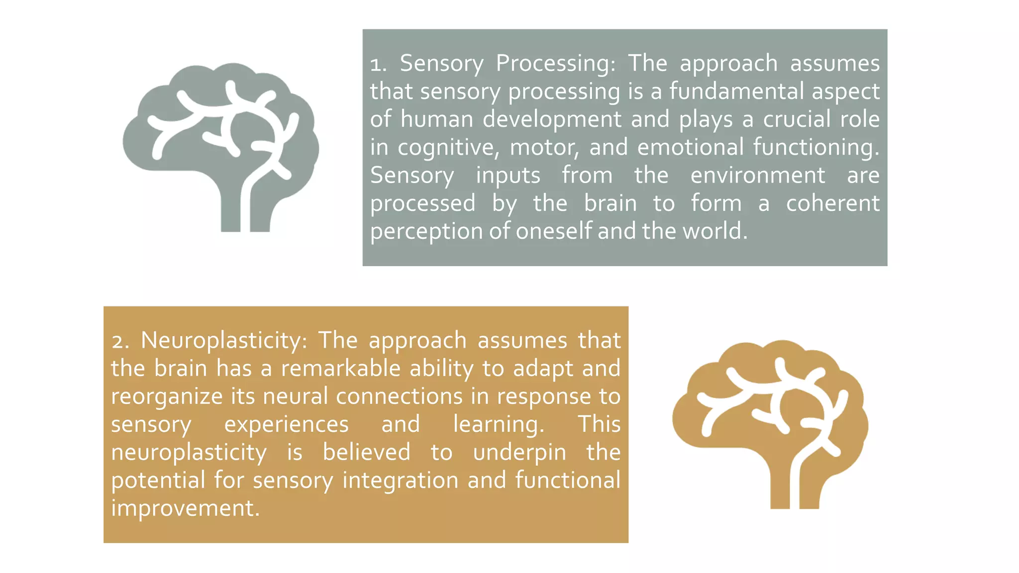 AFFOLTER APPROACH.pptx