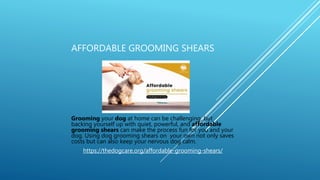 Affordable Grooming Shears | PPT