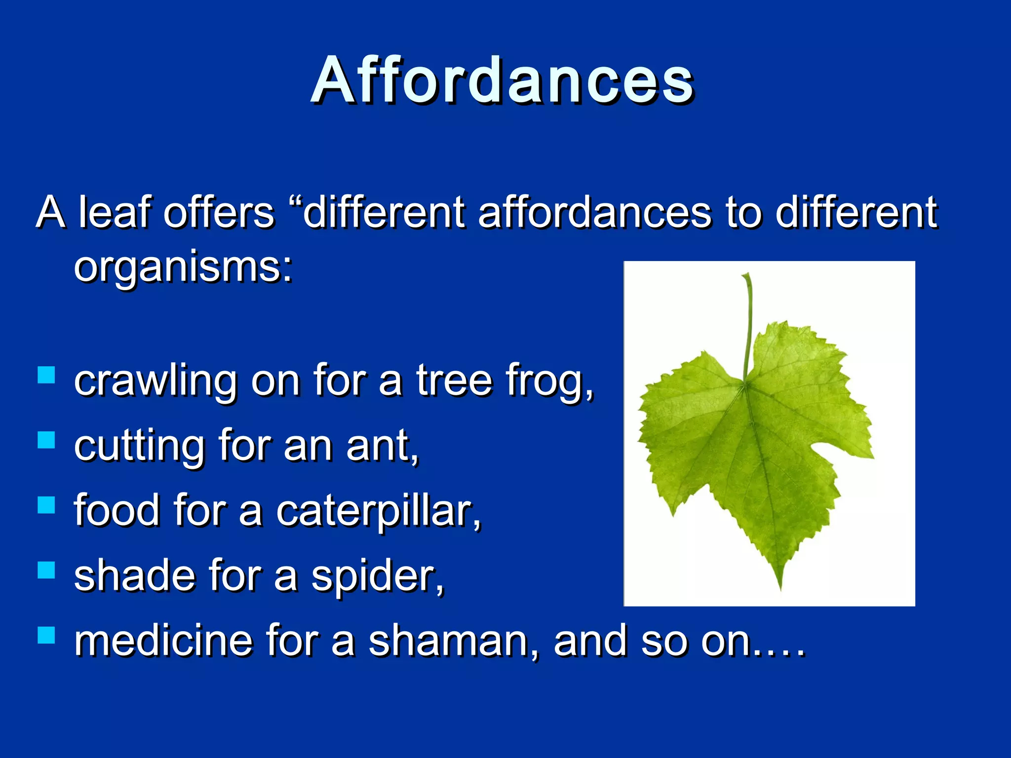 Affordances van Lier 28Jan2013 | PPT