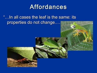 Affordances van Lier 28Jan2013 | PPT