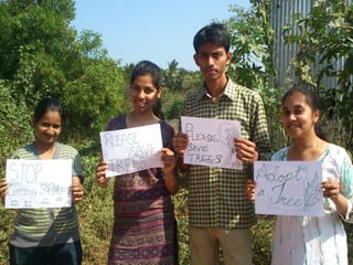 Afforestation and its importance | PPTX