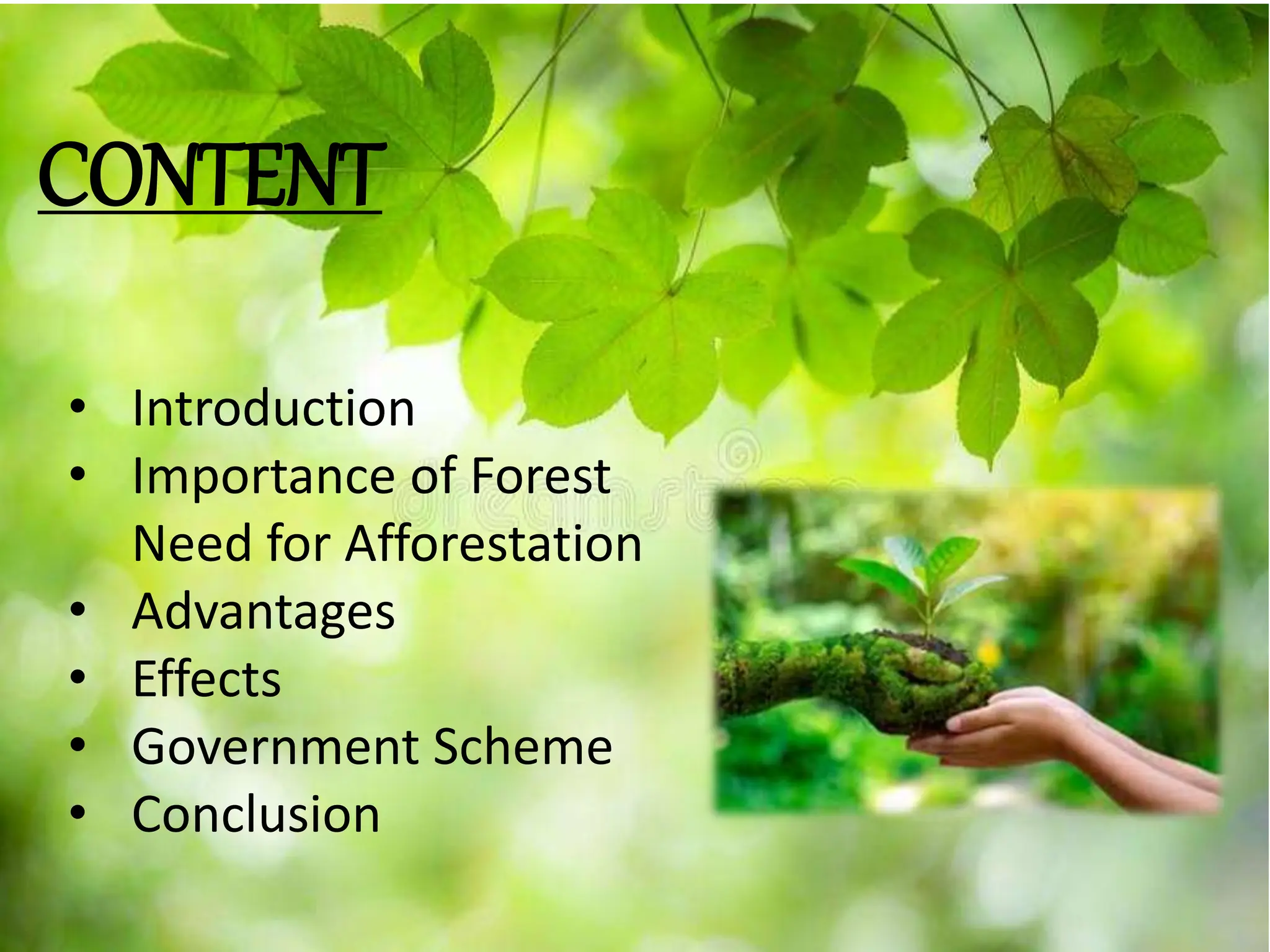 Afforestation environment managemnt.pptx