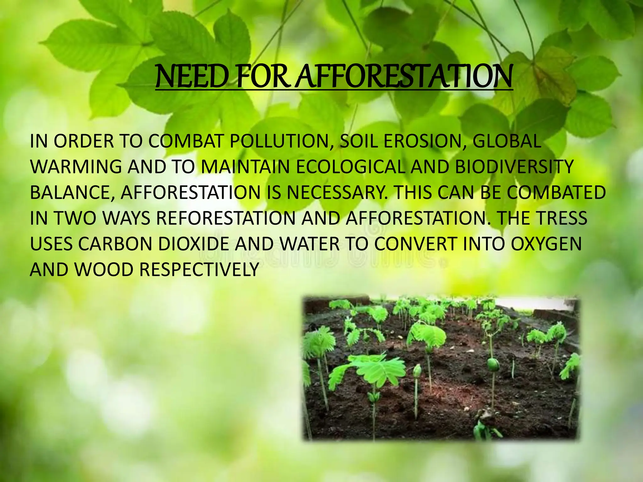 Afforestation environment managemnt.pptx