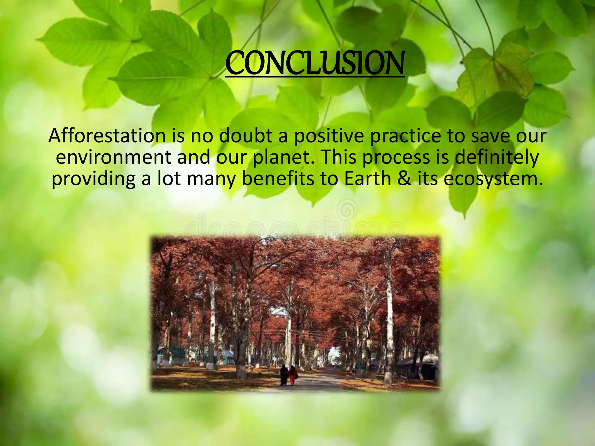 Afforestation environment managemnt.pptx