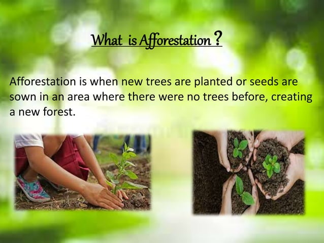 Afforestation environment managemnt.pptx