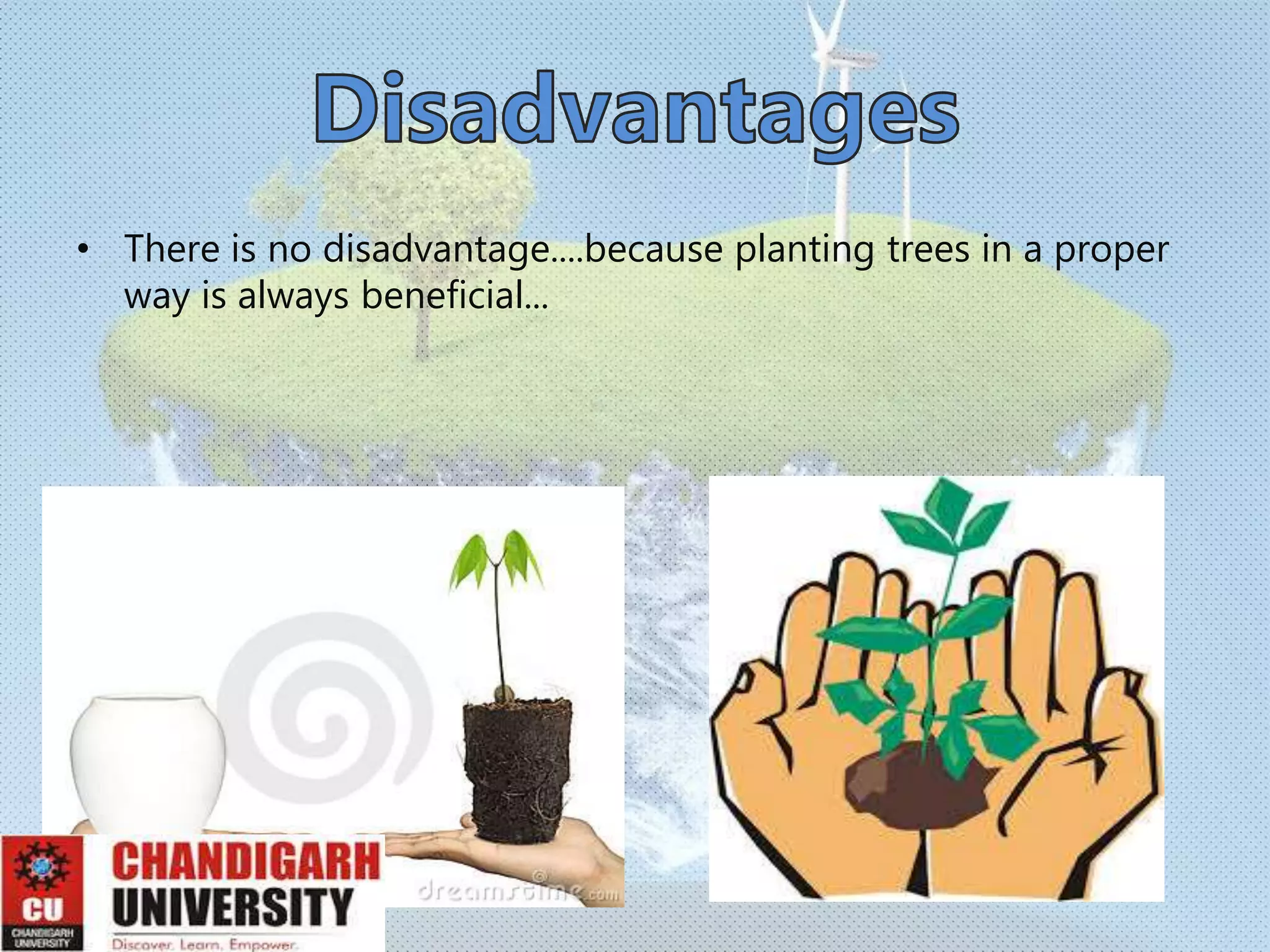Afforestation environmental issue | PPTX