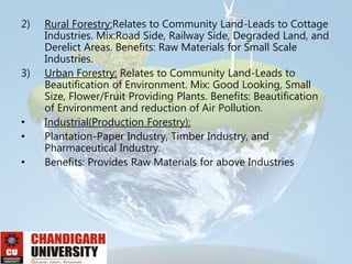 Afforestation environmental issue | PPTX