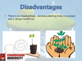 Afforestation environmental issue | PPTX