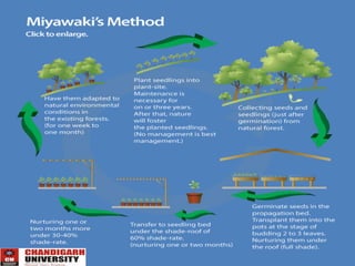 Afforestation Diagram