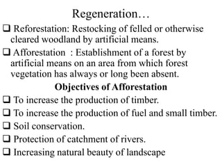 Afforestation of denuded hill slopes mahesh kumain | PPTX