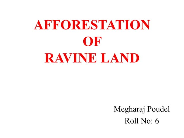 Afforestation of ravine land meghraj poudel | PPT