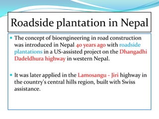 A fforestation on roadside sandesh bolakhe | PPTX