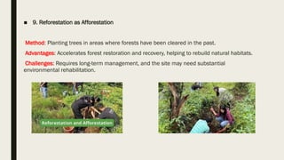 Afforestation techniques and its types.pptx