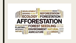 Afforestation techniques and its types.pptx