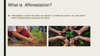 Afforestation techniques and its types.pptx