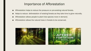 Afforestation techniques and its types.pptx
