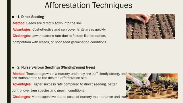 Afforestation techniques and its types.pptx